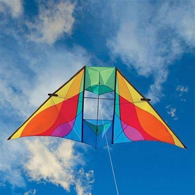 8 Types of Kites and How to Fly Them - EatHappyProject