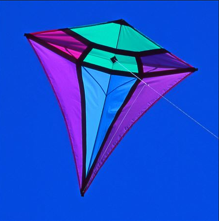 8 Types of Kites and How to Fly Them - EatHappyProject