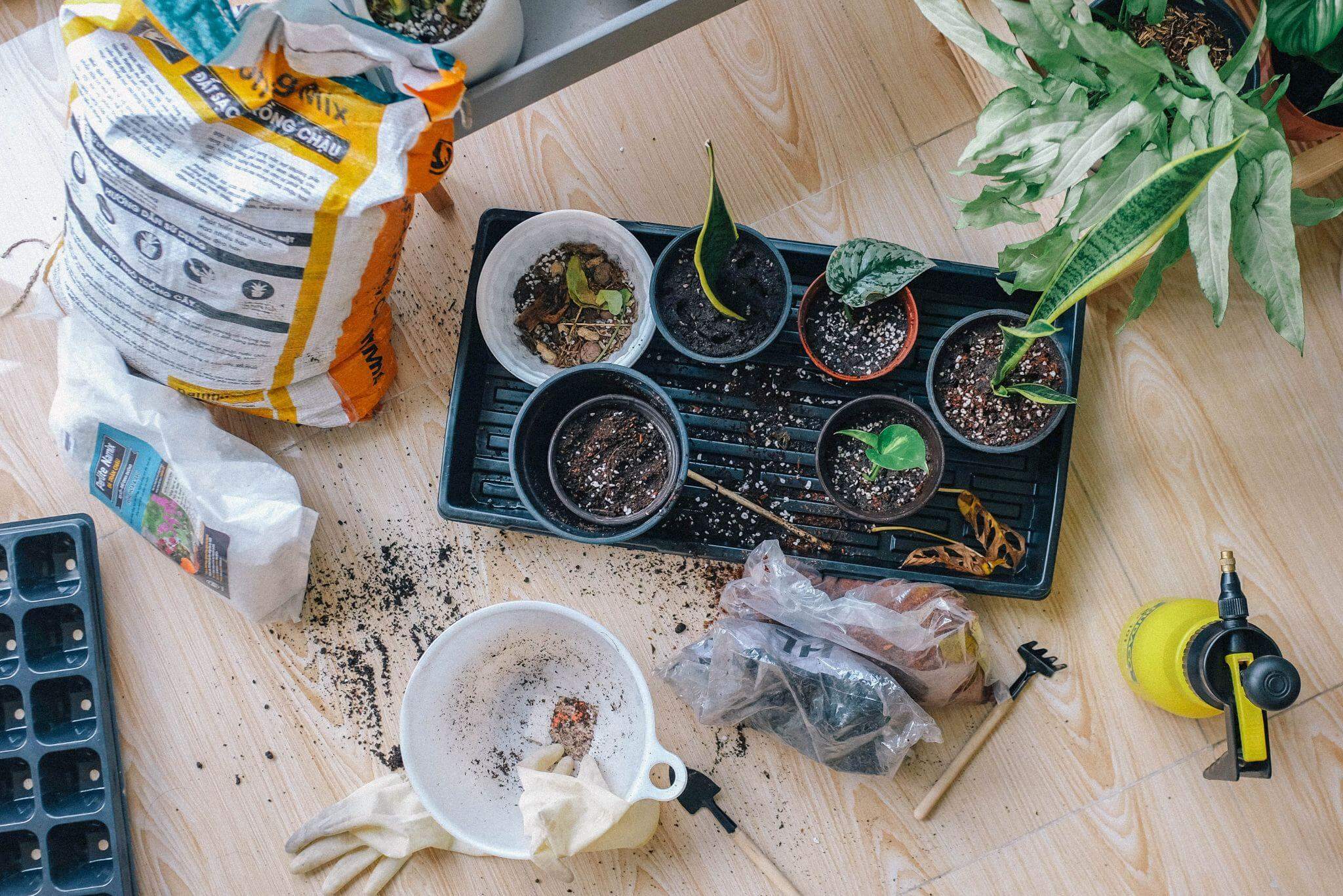 Types of Gardening Methods - EatHappyProject